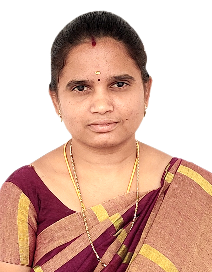 Civil Engineering|NSCET